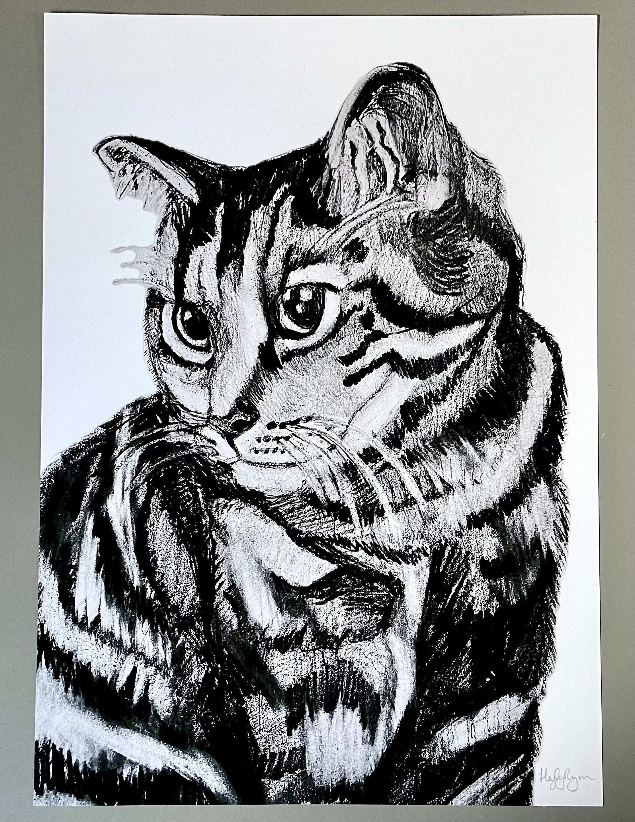 Tabby Cat Portrait-Pencil Drawing Print – Hayley Ryan Art